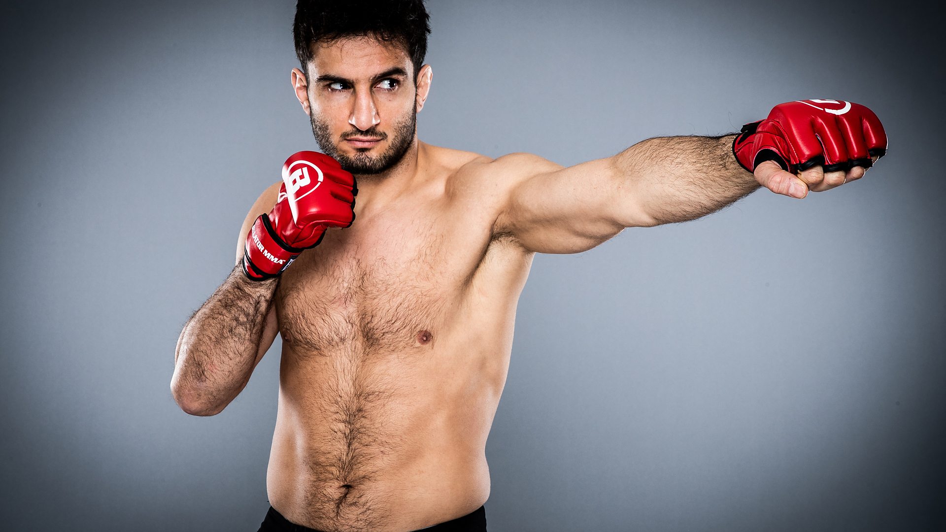Gegard Mousasi: The quiet legend of MMA who has won almost everything ...