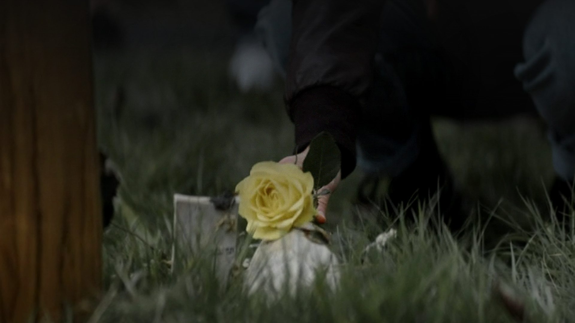 Red Rose: Five things you might've missed - BBC Three