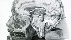 BBC Radio 4 Extra - A History of the Brain, The Origin of Common Sense