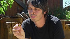 BBC Two - Wonders of the Universe