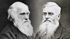 Charles Darwin: Evolution and the story of our species - BBC Teach