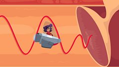 Sound - KS2 Science - BBC Bitesize