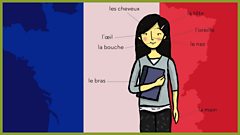 KS2 French: 1. Les animaux et les couleurs (Animals and colours) - BBC ...