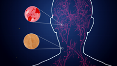 National 5 Biology questions - Producing new cells - National 5 biology ...