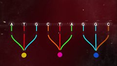 National 5 Biology questions - DNA and the production of proteins ...
