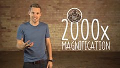 GCSE Combined Science - Edexcel - BBC Bitesize