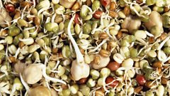 Plant structures and their functions - GCSE Biology (Single Science ...