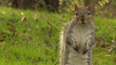 Biodiversity and Ecology - BBC Bitesize