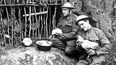 World War One - KS2 History - BBC Bitesize