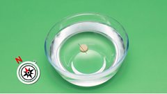 How to make a magnetic compass guide for KS3 physics students - BBC ...