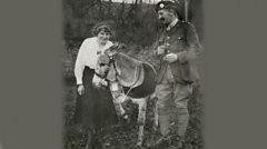 Animals in World War One - BBC Bitesize