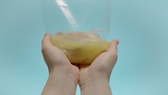 How to model digestion using tights - Nutrition, digestion and ...