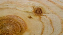 Characteristics and properties - Timbers - Edexcel - GCSE Design and ...