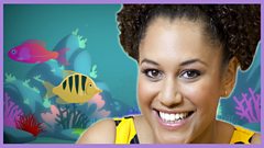 KS1 Dance: Let's Move - BBC Bitesize