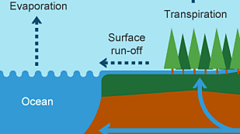 How often should you wash yourself - and your things? - BBC Bitesize