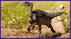 KS1 Dance: Time to Move. Dinosaurs - BBC Teach