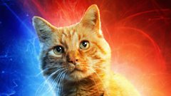 Five things science still can’t explain - BBC Bitesize