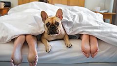 Who invented the weekend? - BBC Bitesize