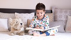 How to support your child's reading at home - BBC Bitesize