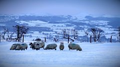 Primary Geography: The seasons - BBC Bitesize