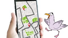 What are maps? - BBC Bitesize