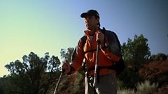 Pregnancy and multiple births - BBC Bitesize