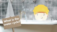 Oceans - KS1 - BBC Bitesize