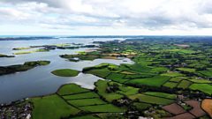 Biodiversity and Ecology - BBC Bitesize