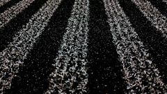 How we can reduce use of plastic - BBC Bitesize