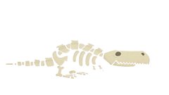 Fossils - BBC Bitesize