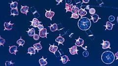 What happens when plastics get into the ocean? - KS2 Sustainability ...