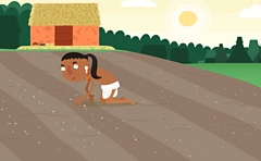 Why was farming so important to the Maya? - BBC Bitesize