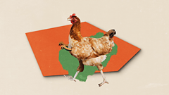 KS3 English - BBC Bitesize