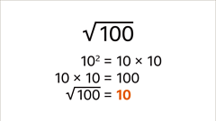 Roots - BBC Bitesize