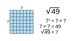 Roots - BBC Bitesize