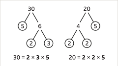 What is a common factor in maths? - BBC Bitesize