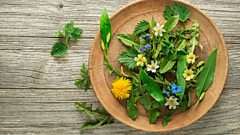 How to spring forage safely - BBC Food