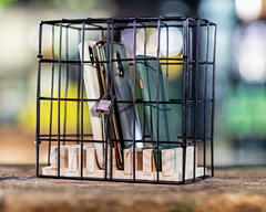 How to tackle the challenges of overconsumption with Less Waste Laura ...