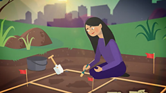What does writing from the Shang Dynasty look like? - BBC Bitesize
