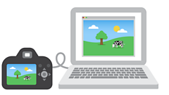 Information technology - KS2 Computing - BBC Bitesize