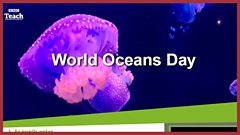World Oceans Day - BBC Teach
