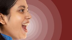 Sound and communication - BBC Bitesize