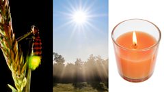 All about light - BBC Bitesize