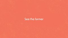 Resources for Harvest festival - BBC Teach