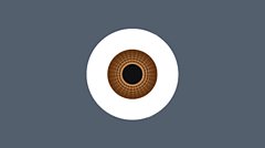 TGAU Bioleg - BBC Bitesize