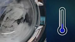 National 4 Biology - BBC Bitesize