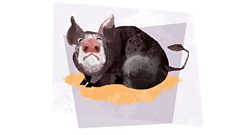 Animal Farm by George Orwell - BBC Bitesize