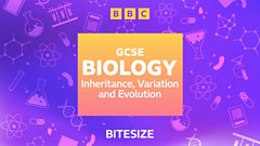 Bitesize podcasts for GCSE revision from BBC Bitesize and BBC Sounds ...