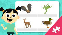 Guess the environment - EYFS - Reception - BBC Bitesize