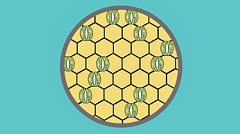 Plant structures and their functions - GCSE Combined Science - BBC Bitesize